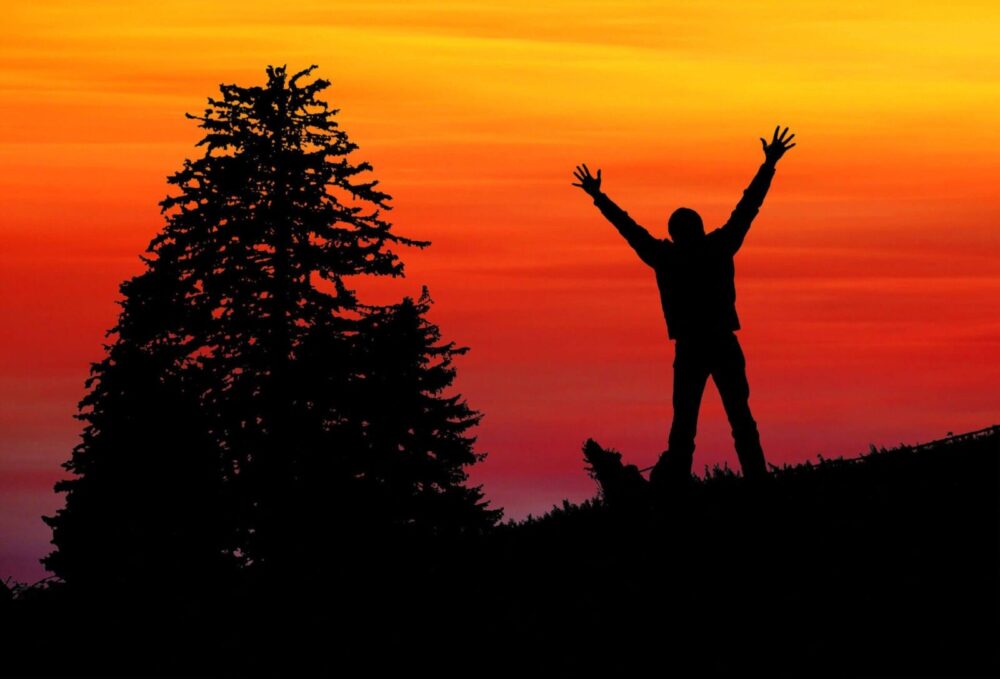 APAN: Advanced Plant Alchemy Nutrition | Natural Supplements